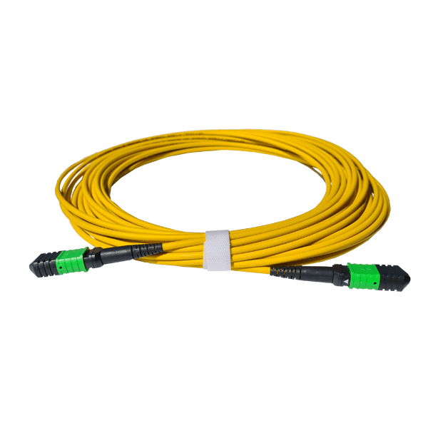 MPO kabel SM OS2 12G 60m - dGroup